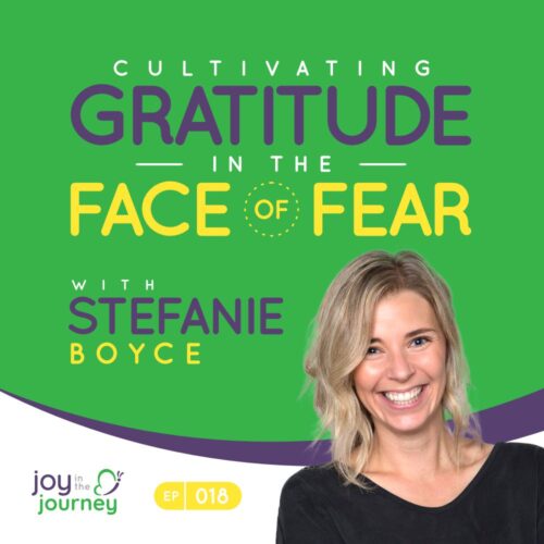 018: Cultivating Gratitude in the Face of Fear with Stefanie Boyce ...