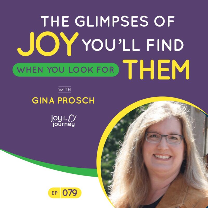 079: The Glimpses of Joy You’ll Find When You Look For Them with Gina ...
